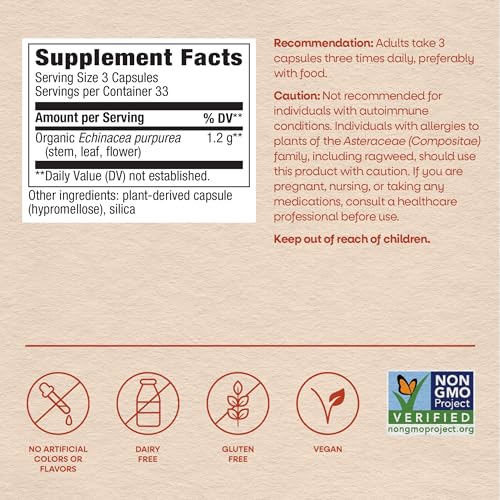 support your immune system with echinacea