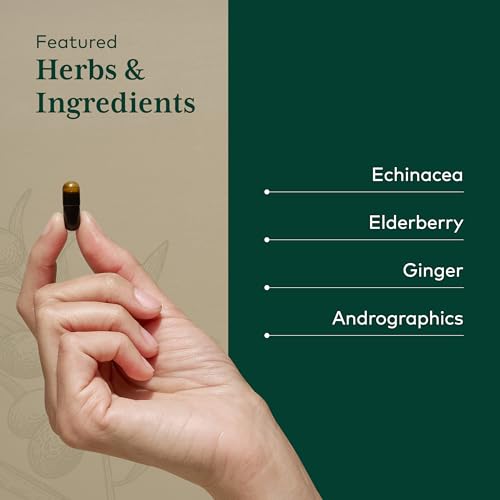 support your immune system with echinacea