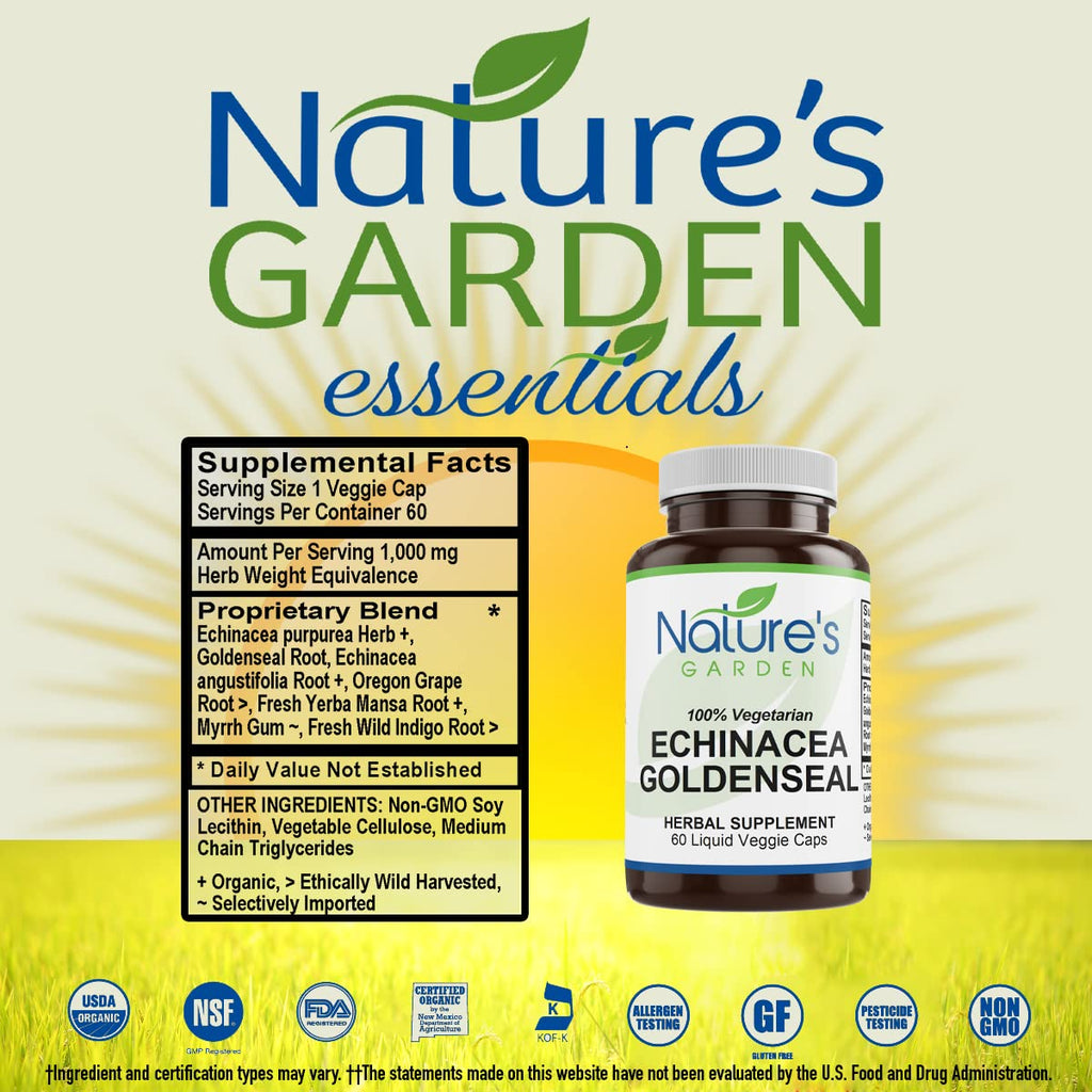 Support your immune system with echinacea