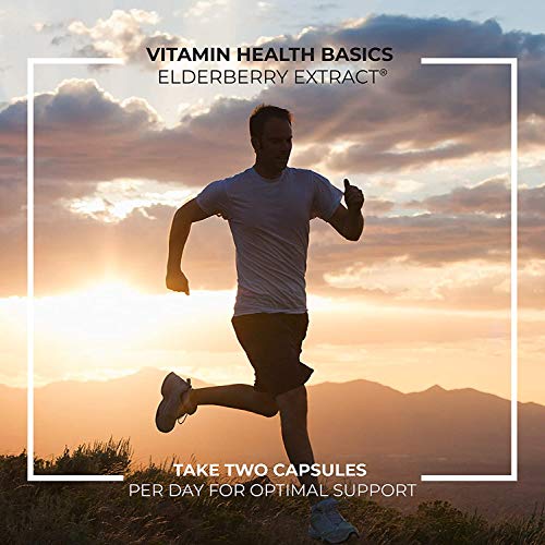 support your immune system with elderberry