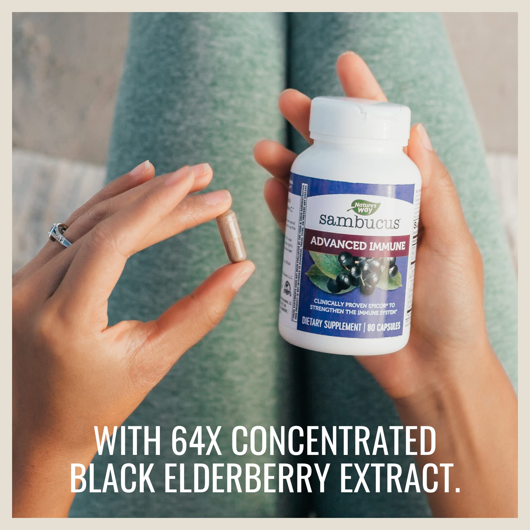 support your immune system with elderberry