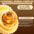 support your immune system with herbs