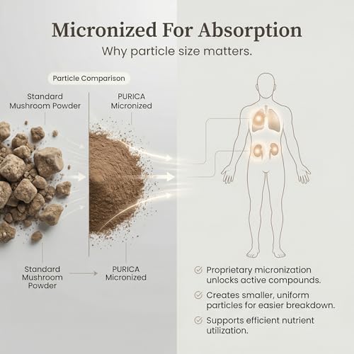 support your immune system with mushrooms