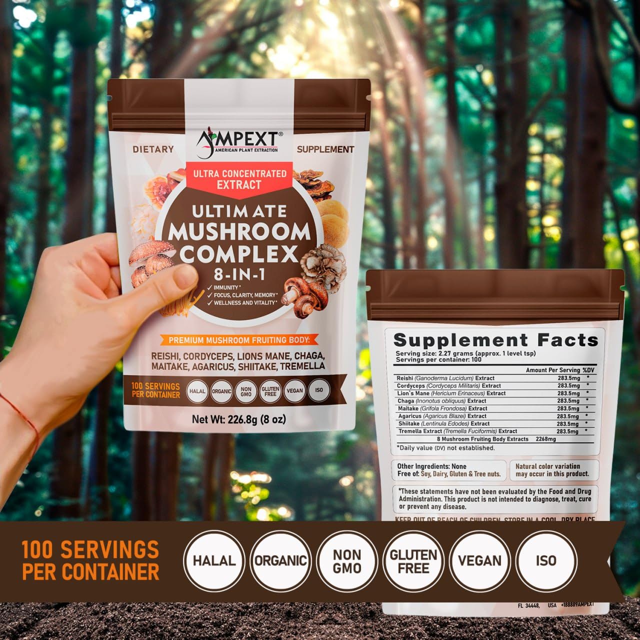 support your immune system with mushrooms