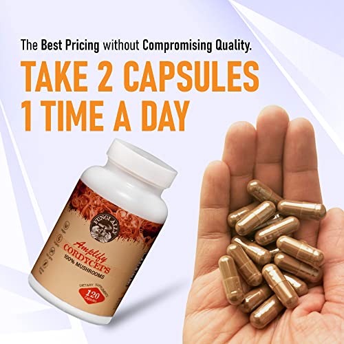 support your immune system with mushrooms