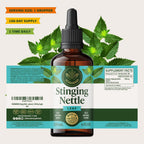 support your immune system with nettle