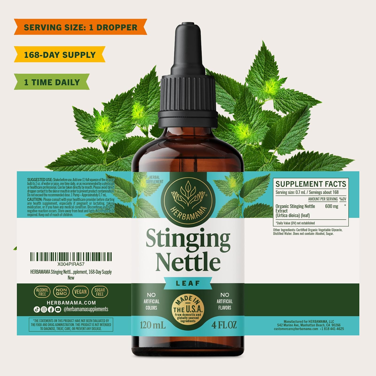 support your immune system with nettle
