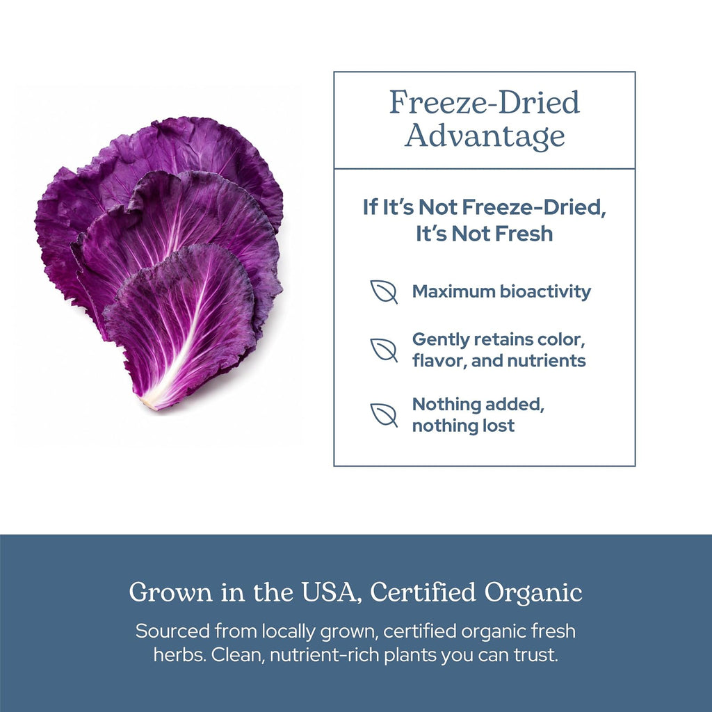 support your immune system with probiotics