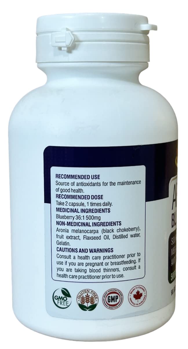 support your immune system with supplements