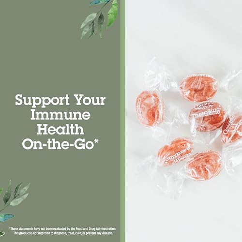 support your immune system with zinc