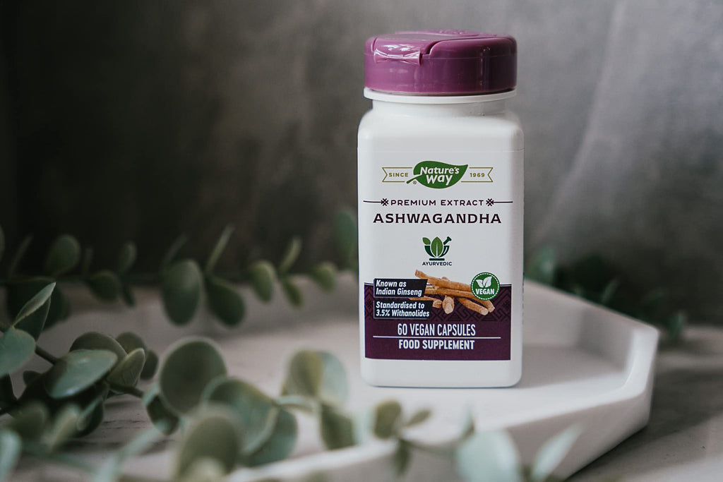 support your immune system