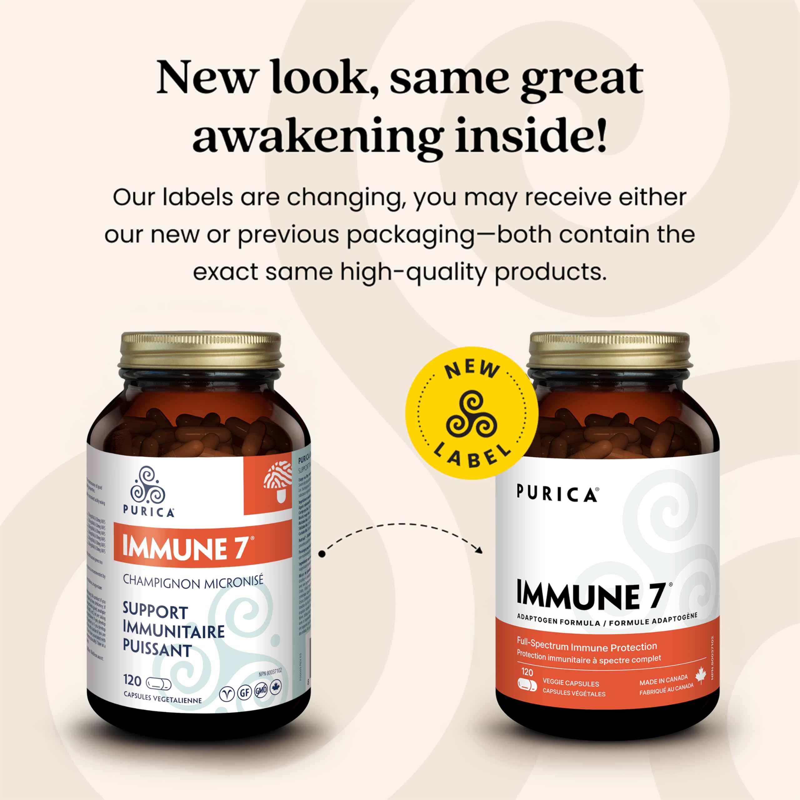 support your immunity with mushrooms