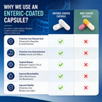 support your joints with calcium