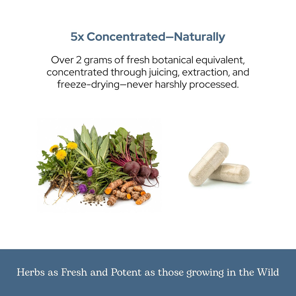Support your liver function naturally