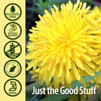 support your liver function naturally