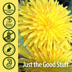 support your liver function naturally