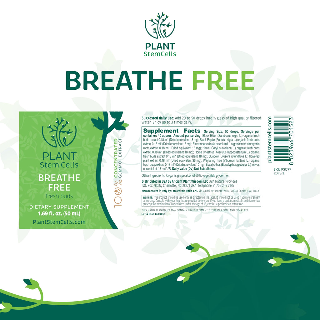 support your lungs with elderberry