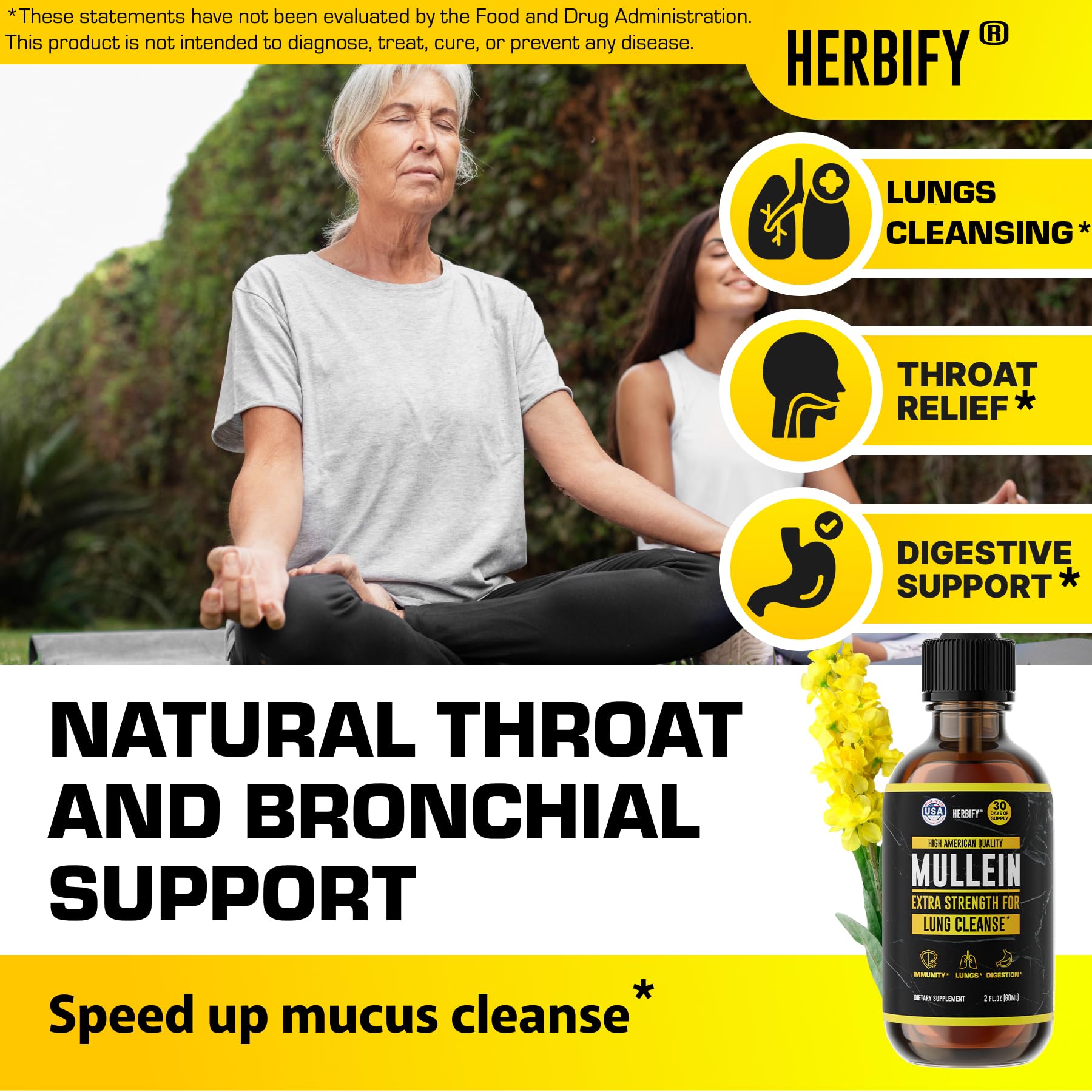 support your lungs with mullein extract