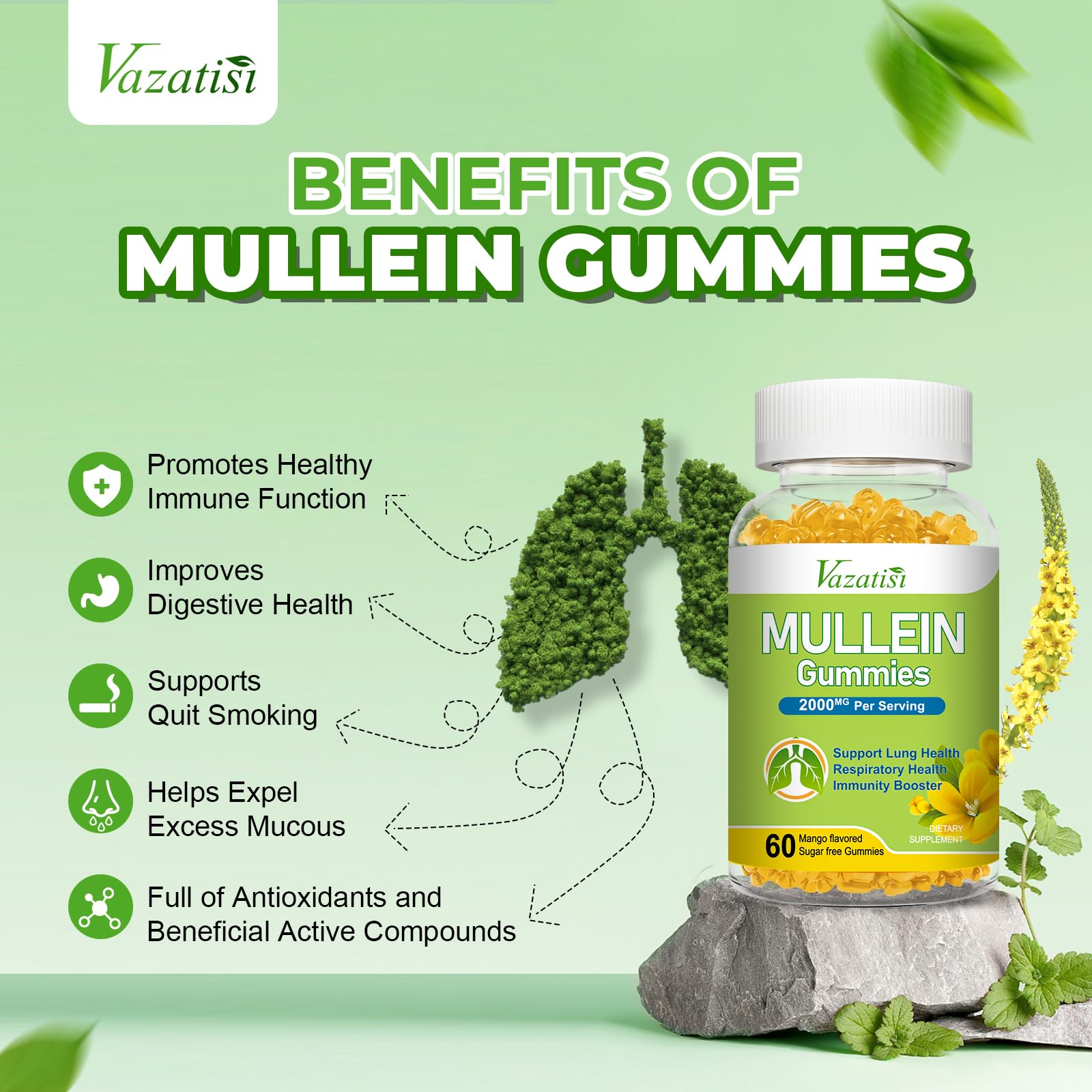 support your lungs with mullein