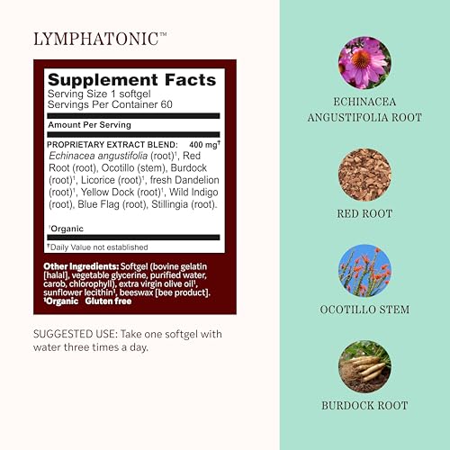 support your lymphatic system naturally