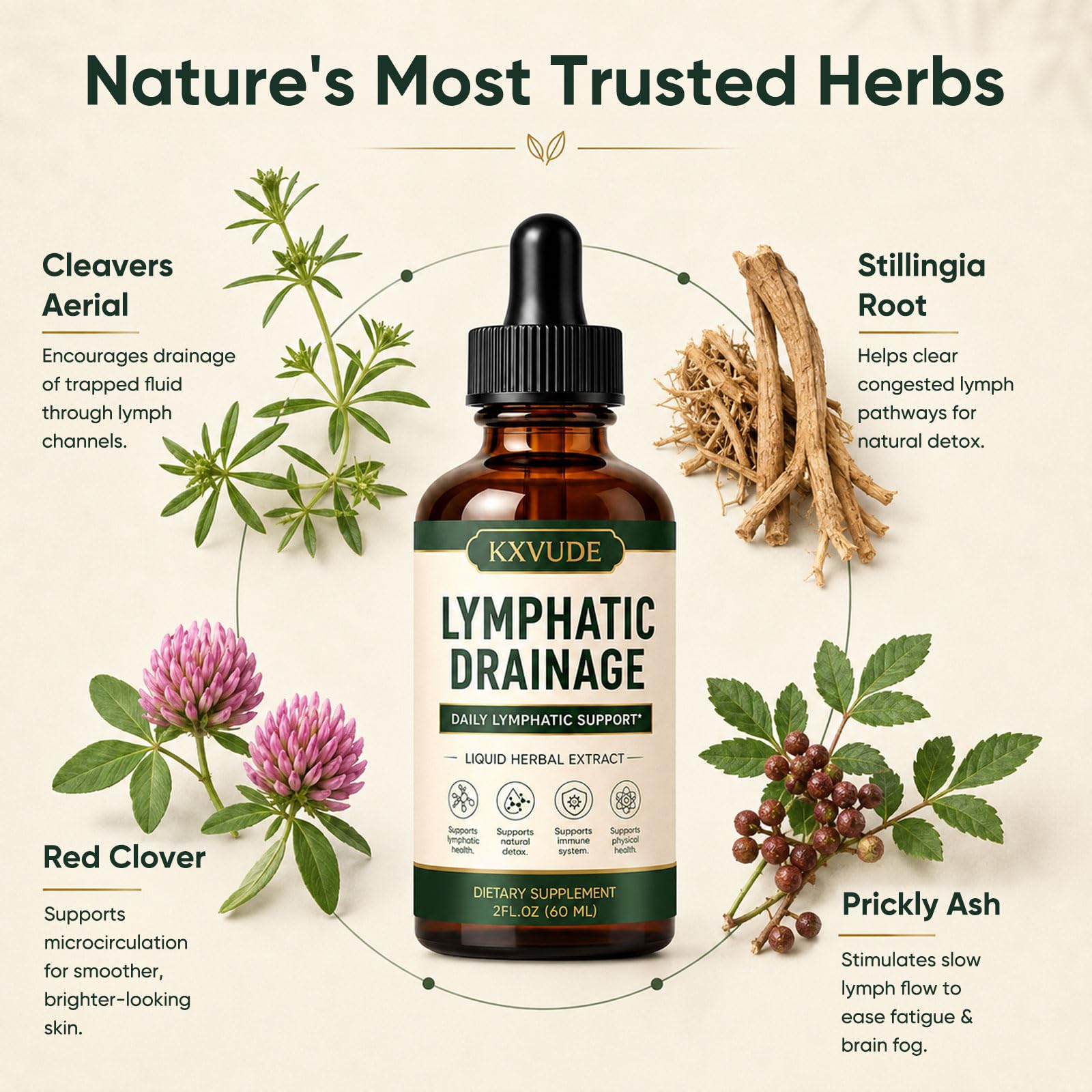 support your lymphatic system
