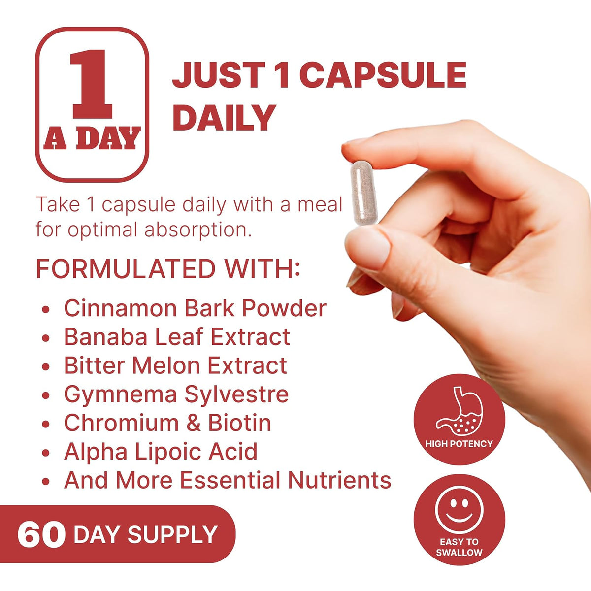 support your metabolism with DIPO