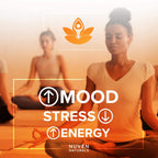 support your mood with ashwagandha