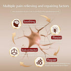 support your nervous system health