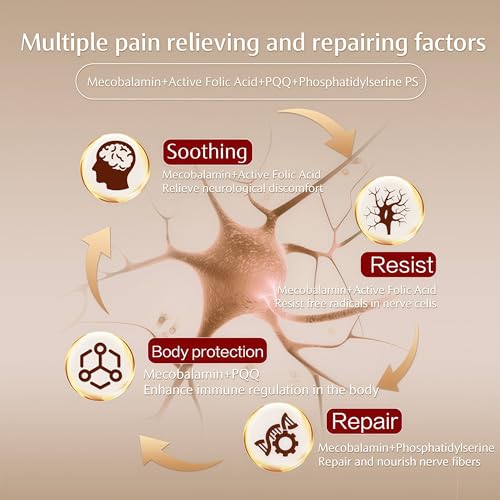 support your nervous system health