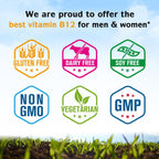 support your nervous system with B12