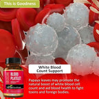support your overall health daily