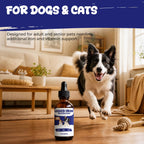 support your pet's energy levels