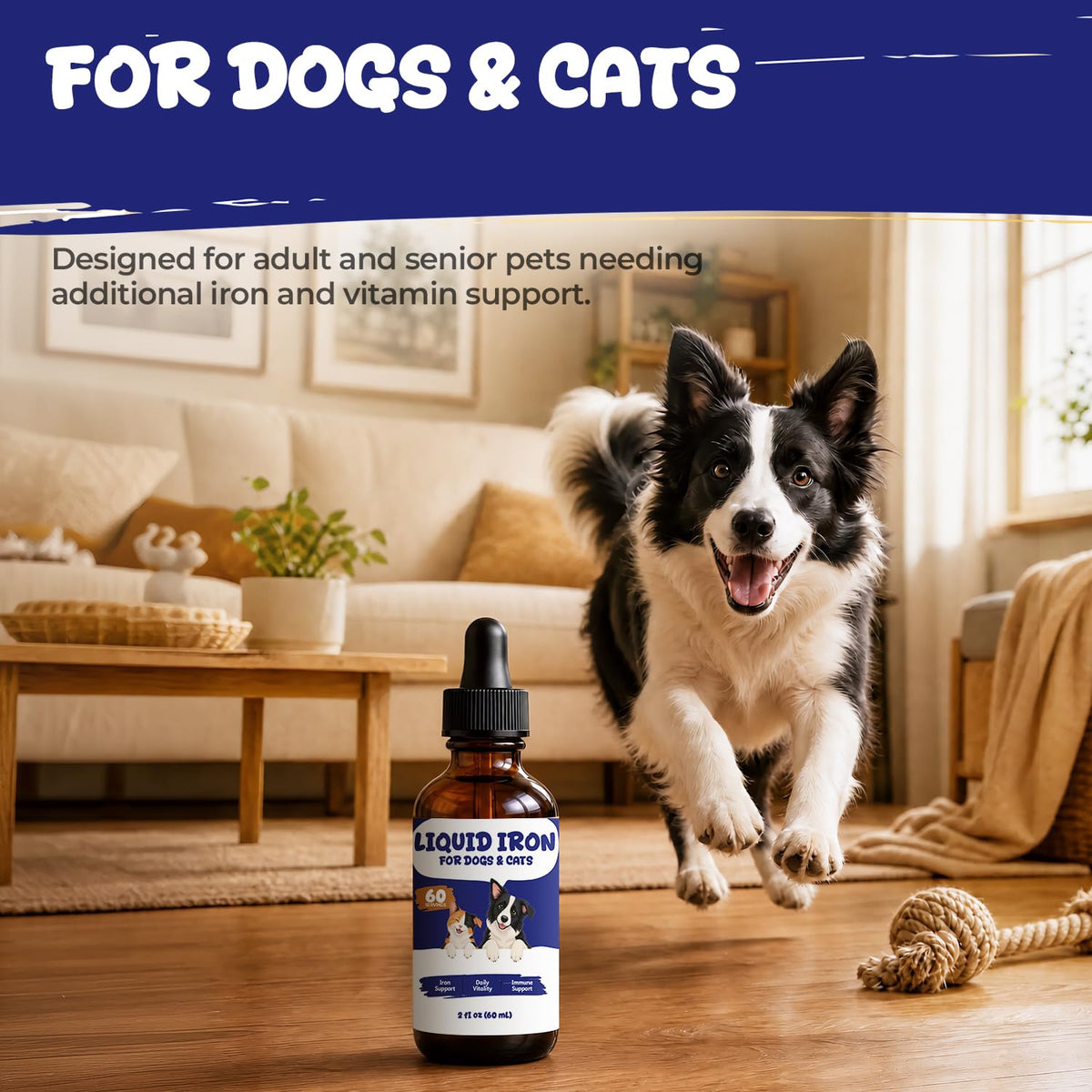 support your pet's energy levels