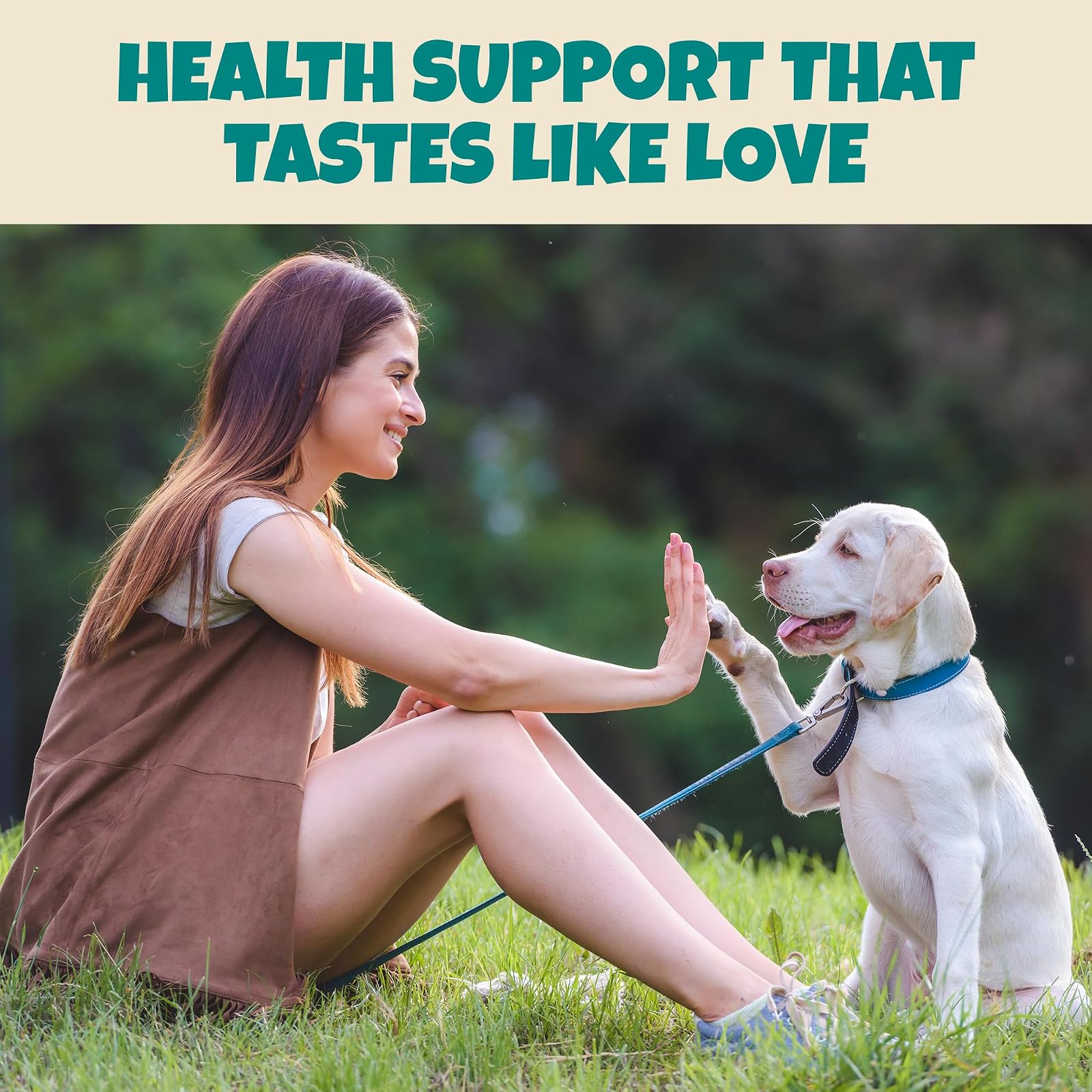 Support your pet's urinary function