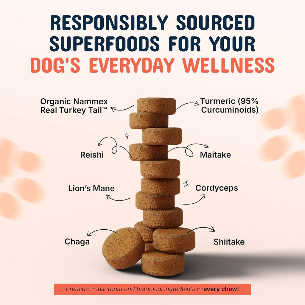 support your pet's vitality with mushrooms