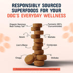support your pet's vitality with mushrooms