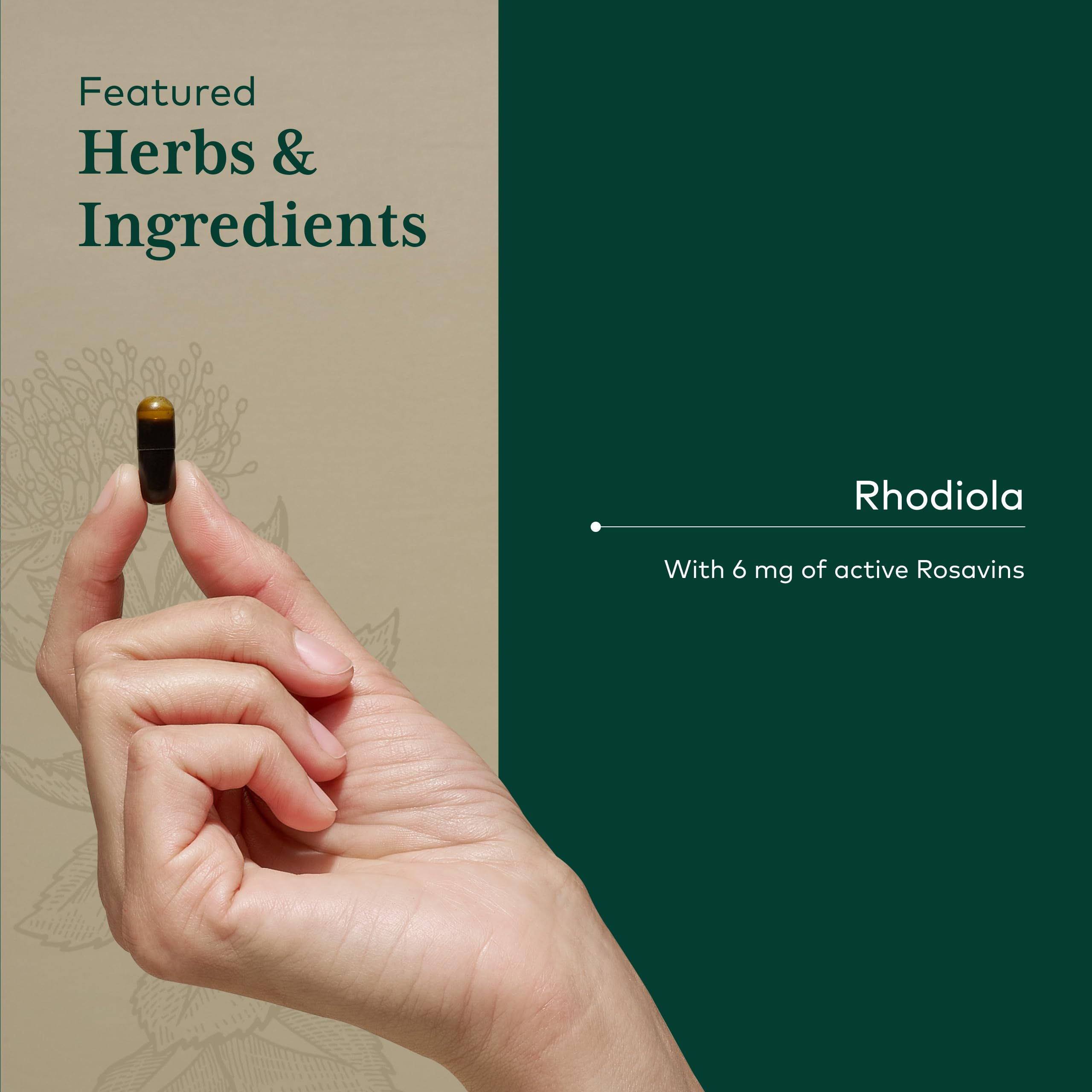 support your wellness with Rhodiola