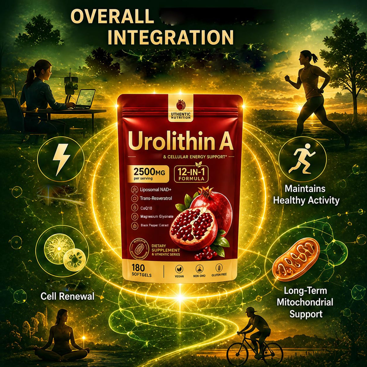 support your workout with antioxidants