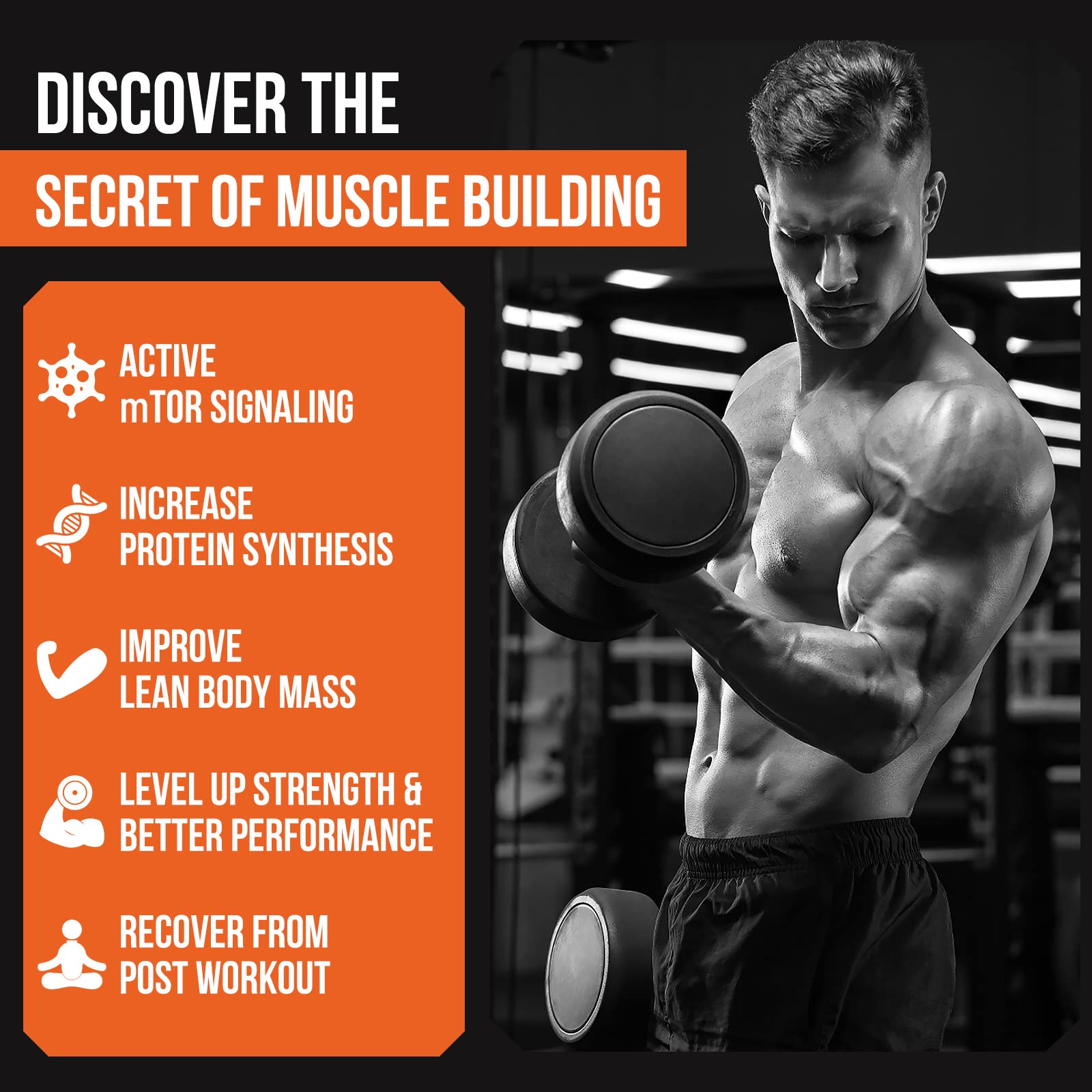 support your workout with phosphatidic acid