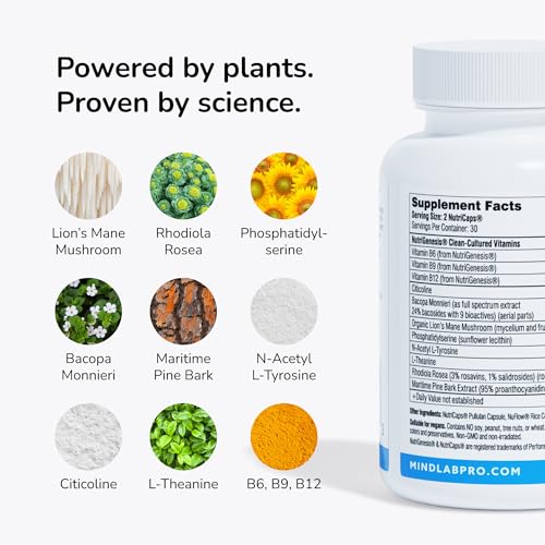supporting clarity and focus naturally