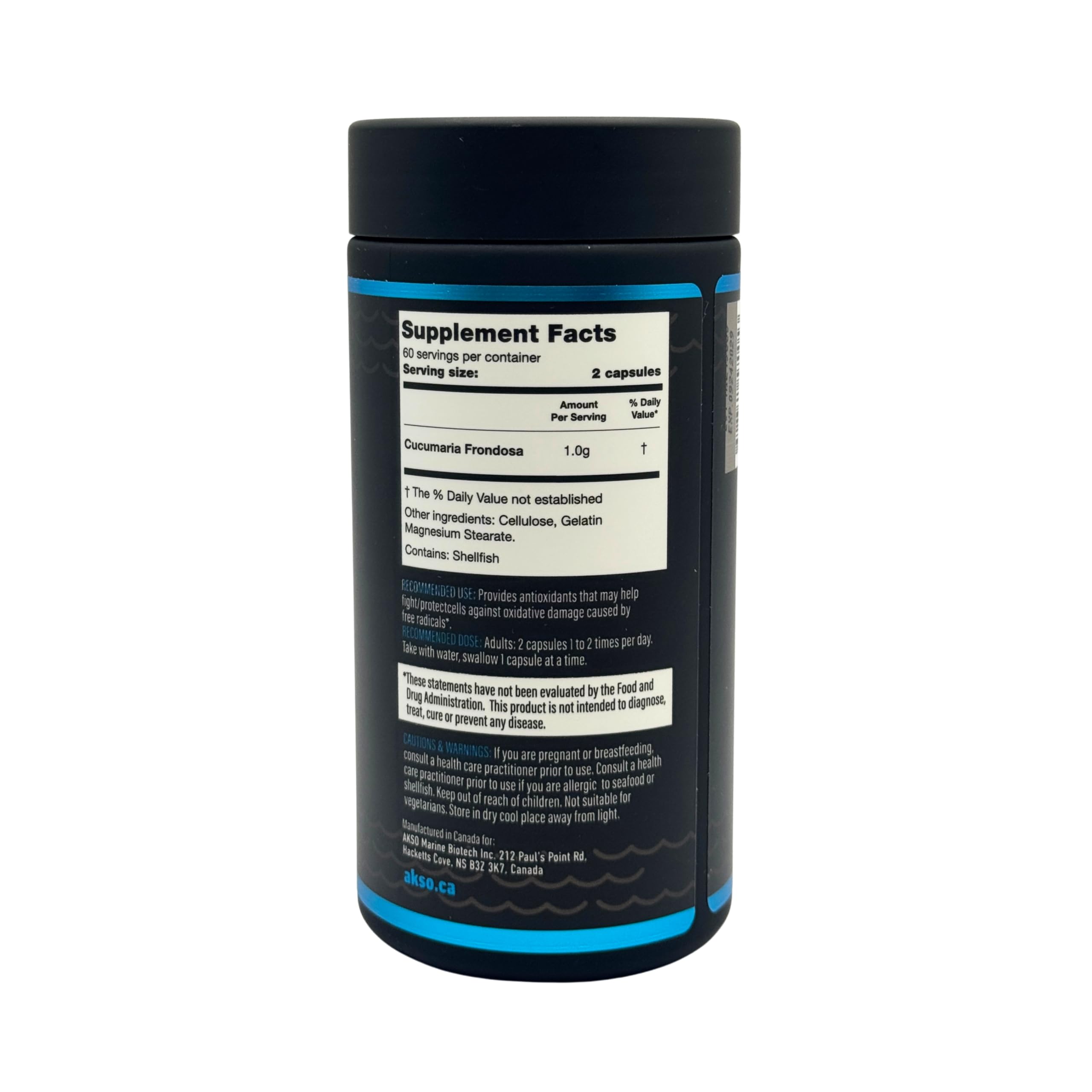 supporting immune health naturally