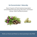 supportive capsules for hormonal balance