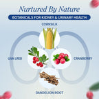 supportive capsules for liver care