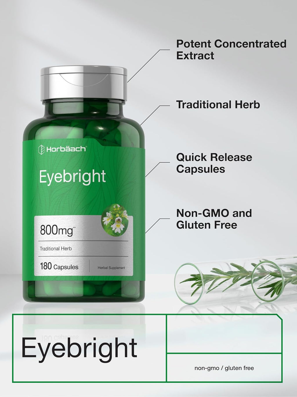 supportive Eyebright herb for vision