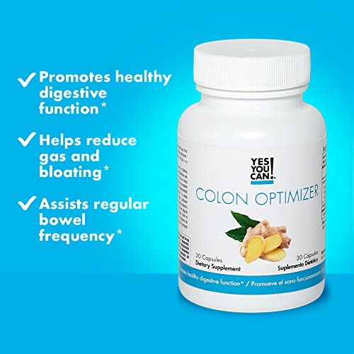 supportive gut health for active lifestyles