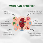 supportive herbal remedy for kidneys