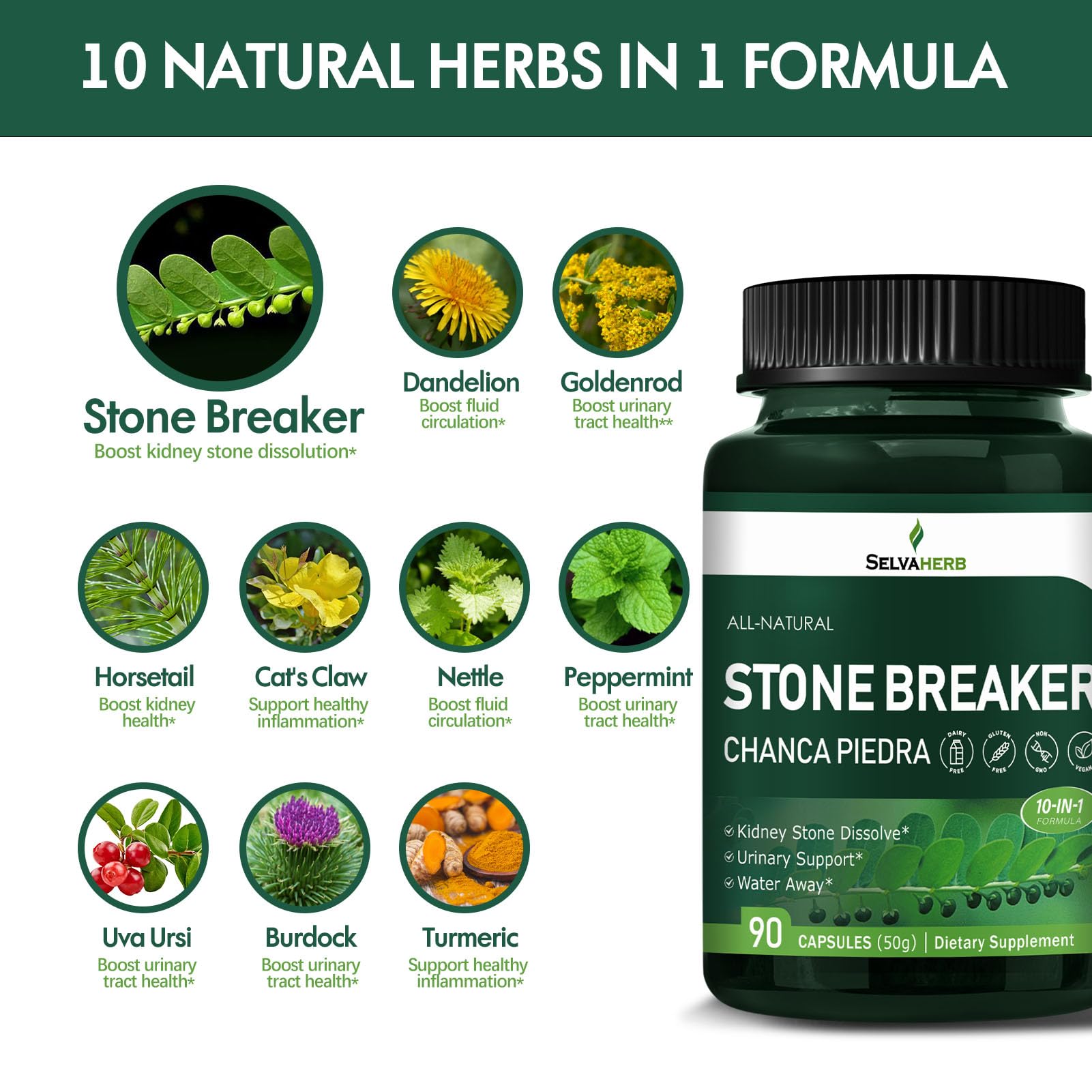 Supportive herbal supplement for kidneys