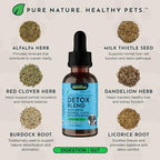 supportive liver health supplement