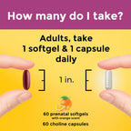 supportive prenatal vitamins for pregnancy