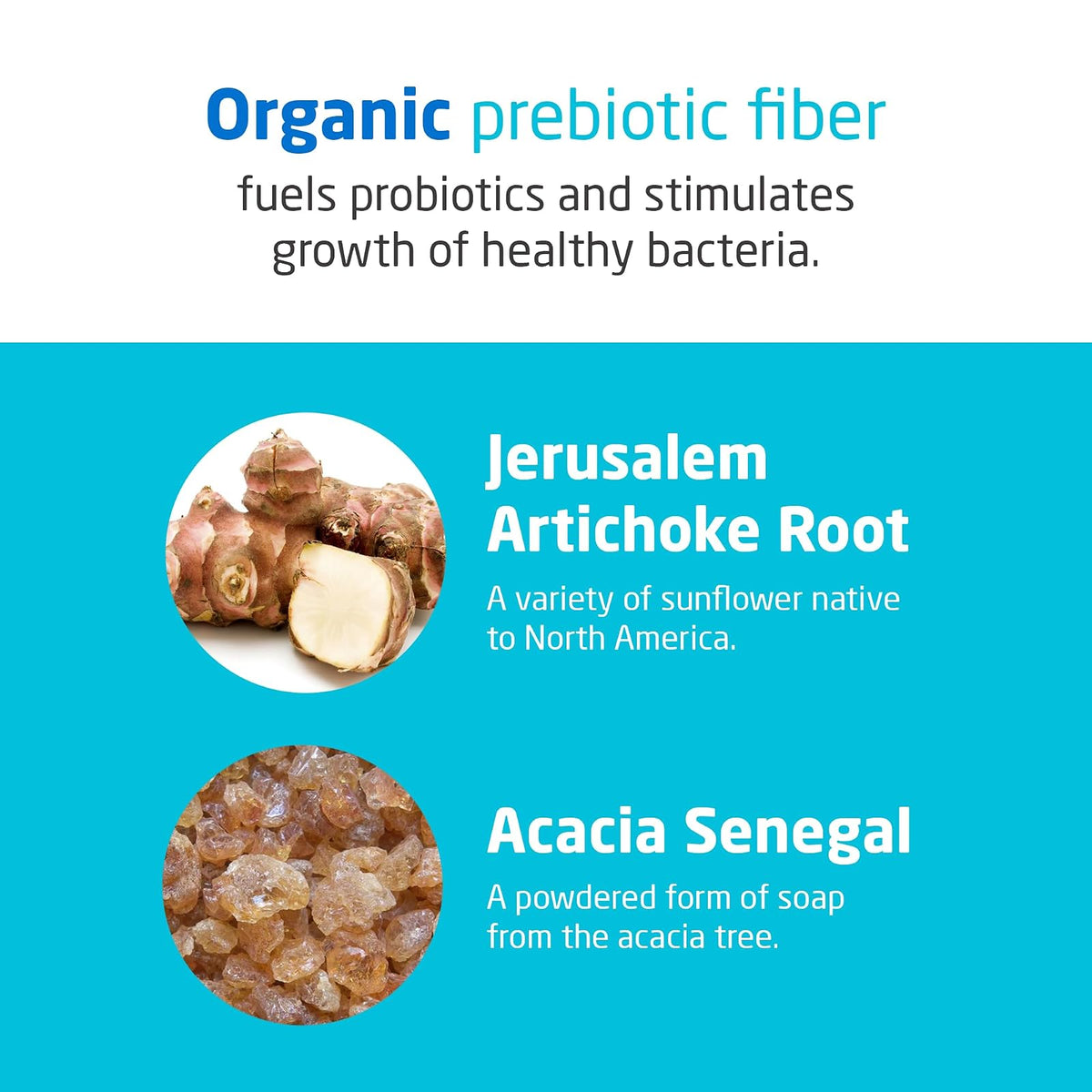 supportive probiotics for feminine health